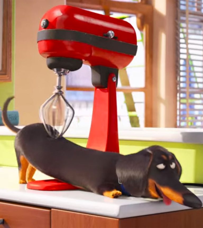 Secret Life Of Pets Character List