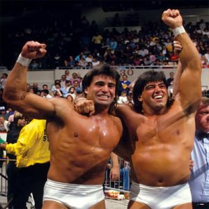Wrestling Tag Teams Of The 80s