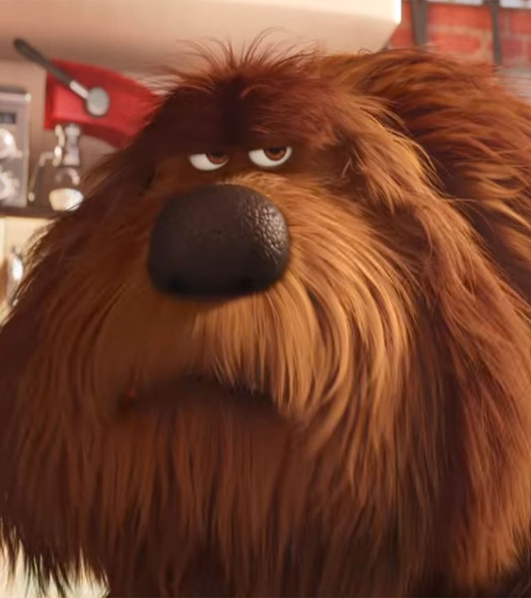 Secret Life Of Pets Character List