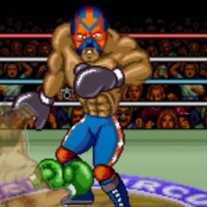 Super Punch Out Characters