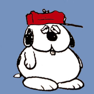 List Of All Peanuts Characters