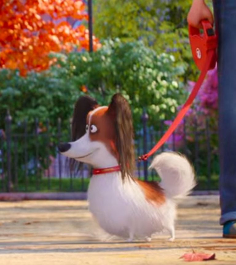 Secret Life Of Pets Character List