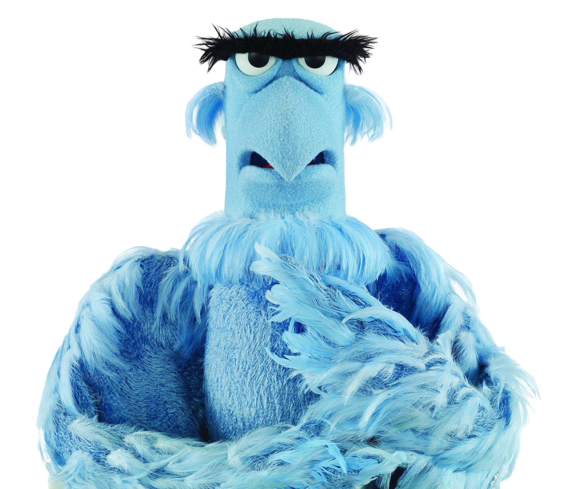 Sam Eagle