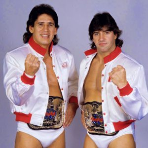 Wrestling Tag Teams Of The 80s
