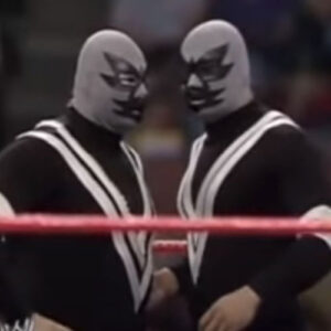 Wrestling Tag Teams Of The 80s