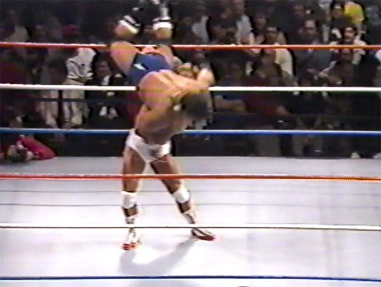 Wrestlemania 2 List Of Matches